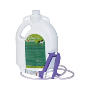 Oxylis Ovins : répulsif bio en spray (mouches, tiques, poux)