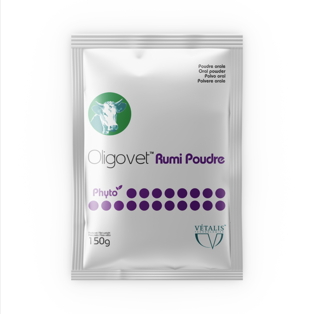 Oligovet Rumi Powder to support the rumen and liver