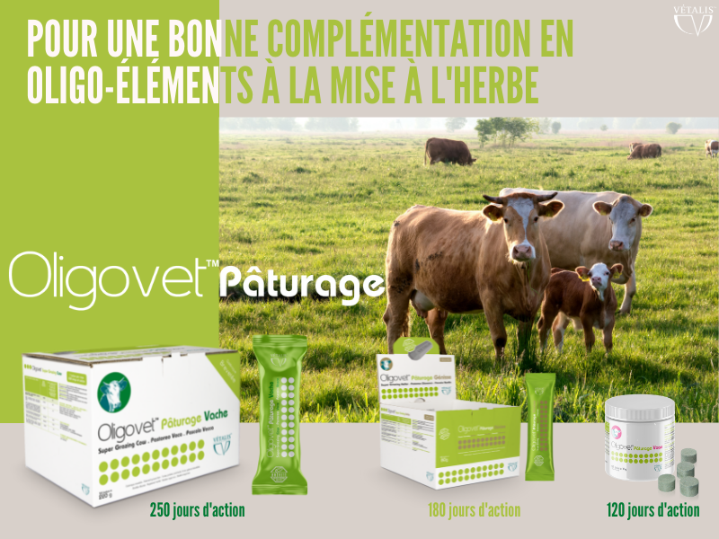 Vétalis : bolus and supplements manufacturer for livestock